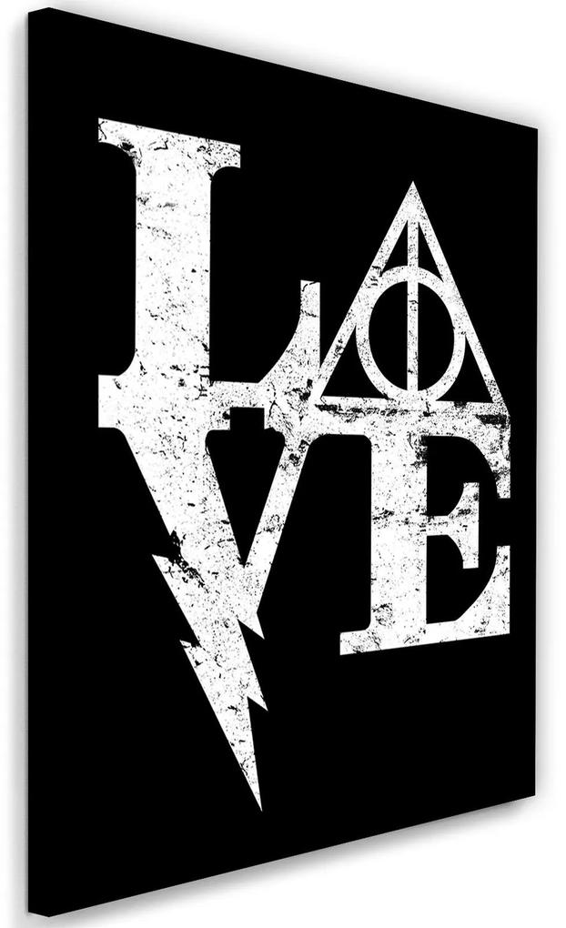Gario Obraz na plátně Harry Potter, láska - Dr.Monekers Rozměry: 40 x 60 cm