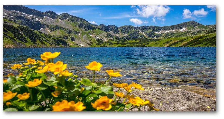 Wallmuralia Fotoobraz na skle Jezero v horách 100x50 cm