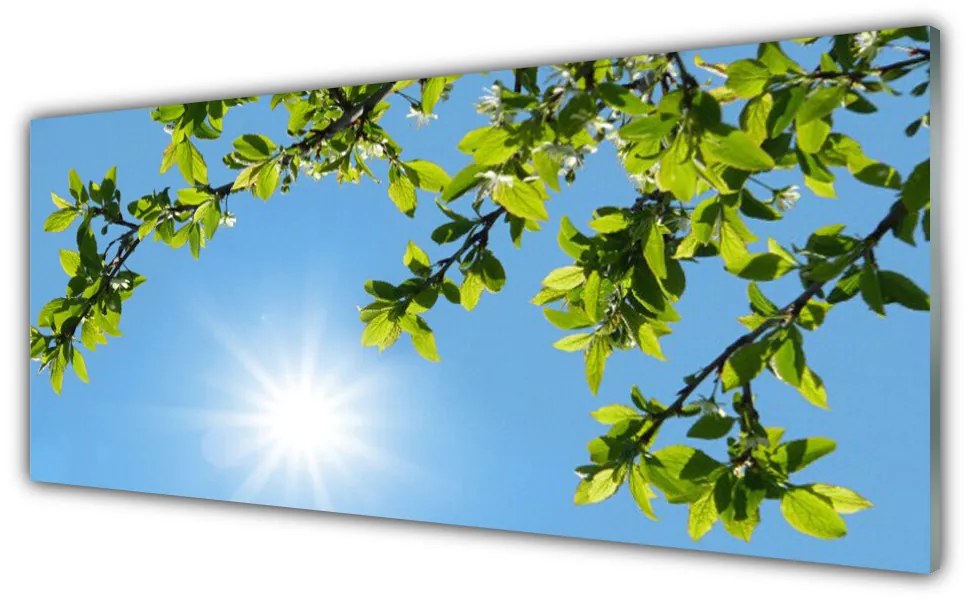 akrylový obraz Slunce Příroda 125x50 cm