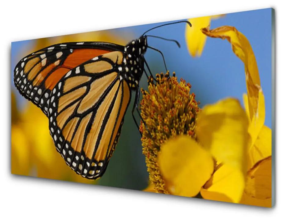 akrylový obraz Motýl Květ Příroda 100x50 cm
