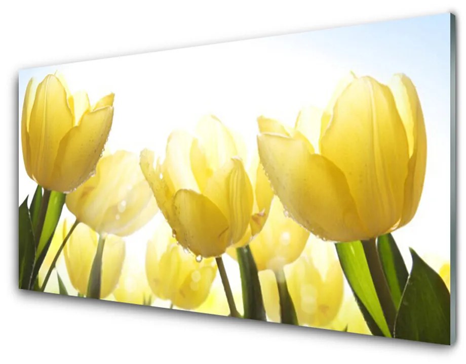Obraz na skle Tulipány Květiny Paprsky 100x50 cm