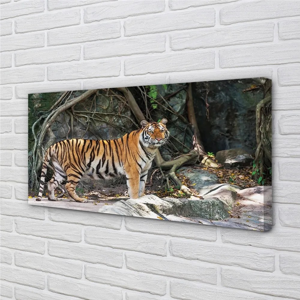 Obrazy na plátně tygr džungle 100x50 cm