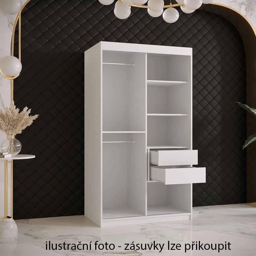 Šatní skříň Bluszcz 2 | 100 cm | bílá