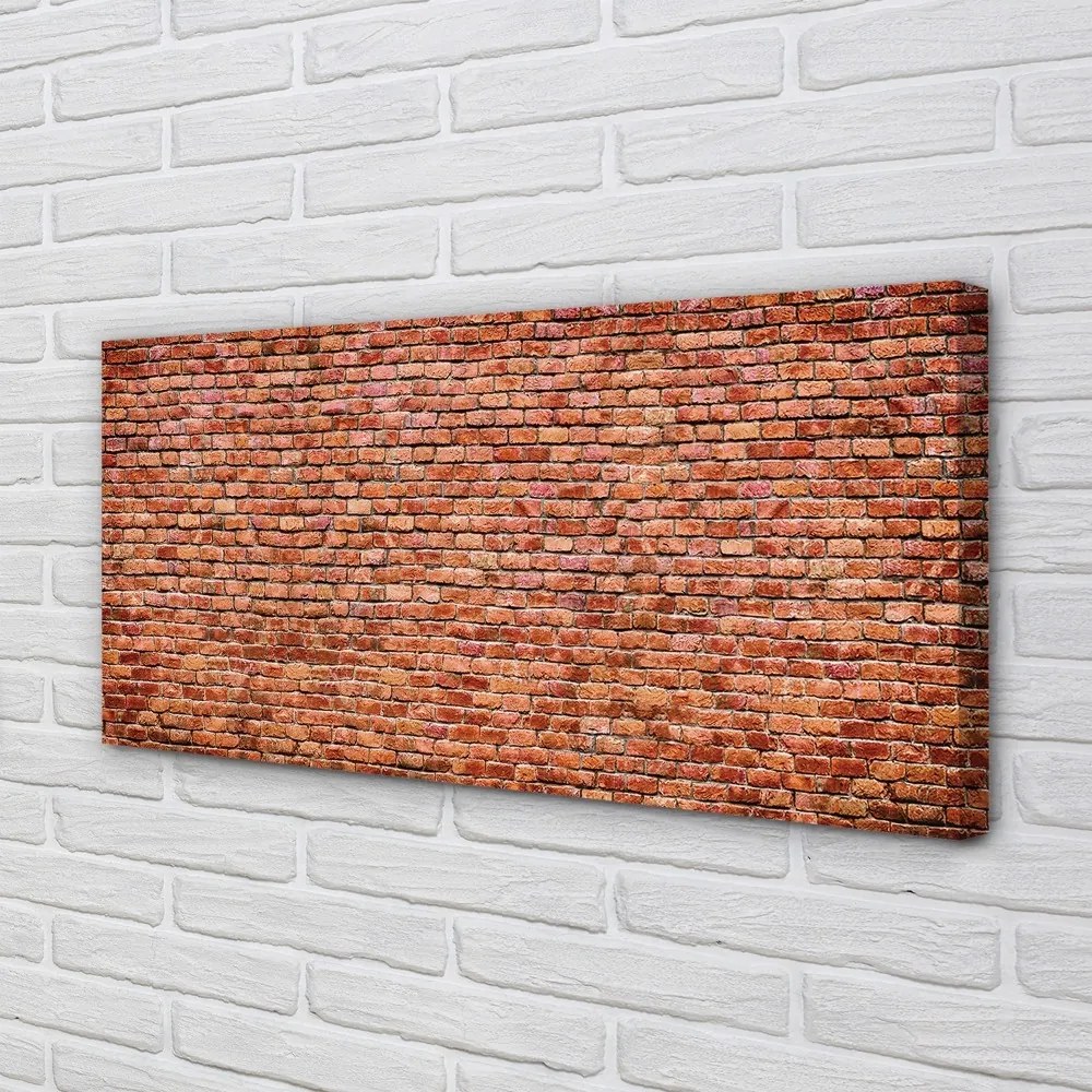 Obrazy na plátně Cihlové zdi wall 140x70 cm