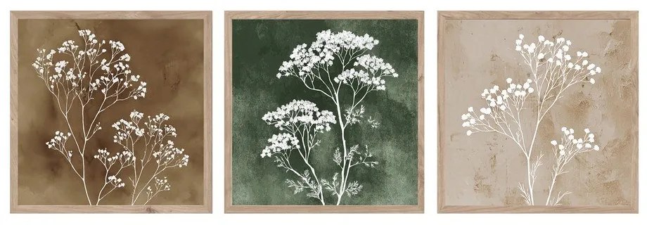 Obrazy v sadě 3 ks 30x30 cm Floral Imprint – Styler