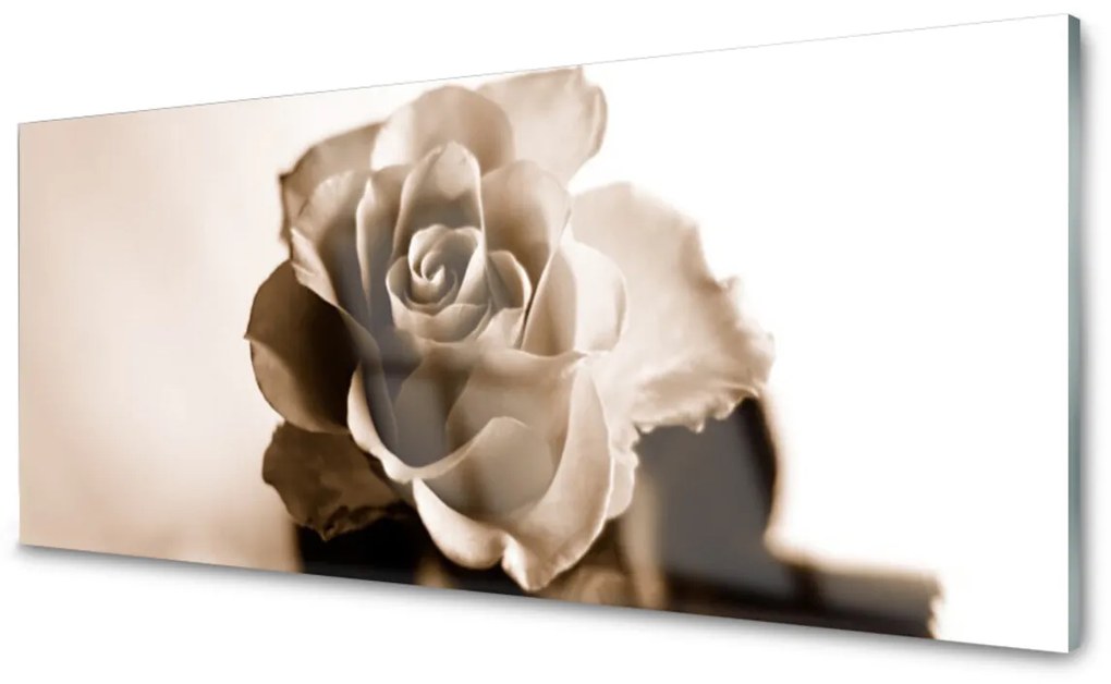 Akrylové obraz Skleněný Růže Květ
