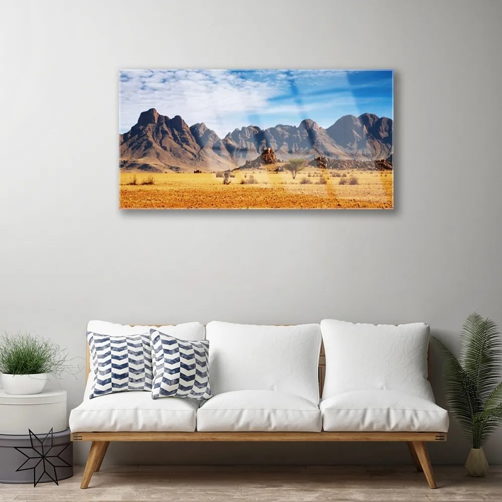 Obraz na skle Poušť Hory Krajina 100x50 cm