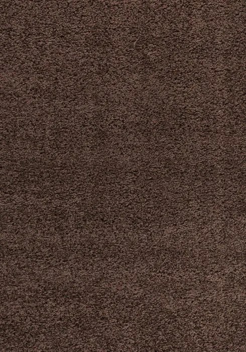 Vopi | Kusový koberec Dream Shaggy 4000 brown - 120 x 170 cm