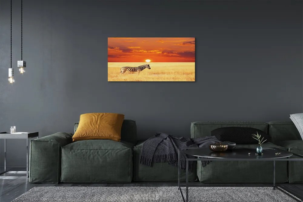 Obrazy na plátně Zebra pole sunset 125x50 cm