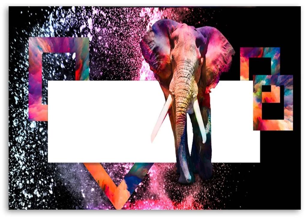 Obraz na plátně Sloní zvířata - 100x70 cm