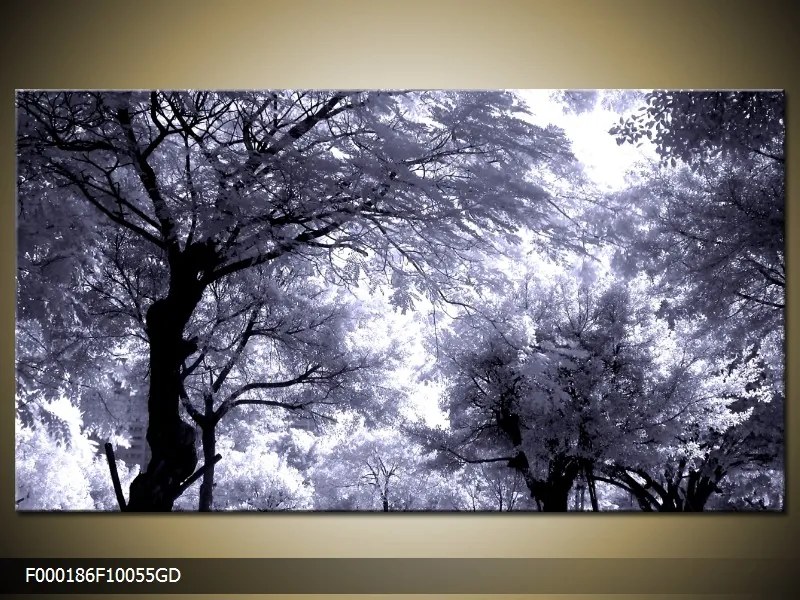 Černobílý obraz stromů (), 40 dalších rozměrů