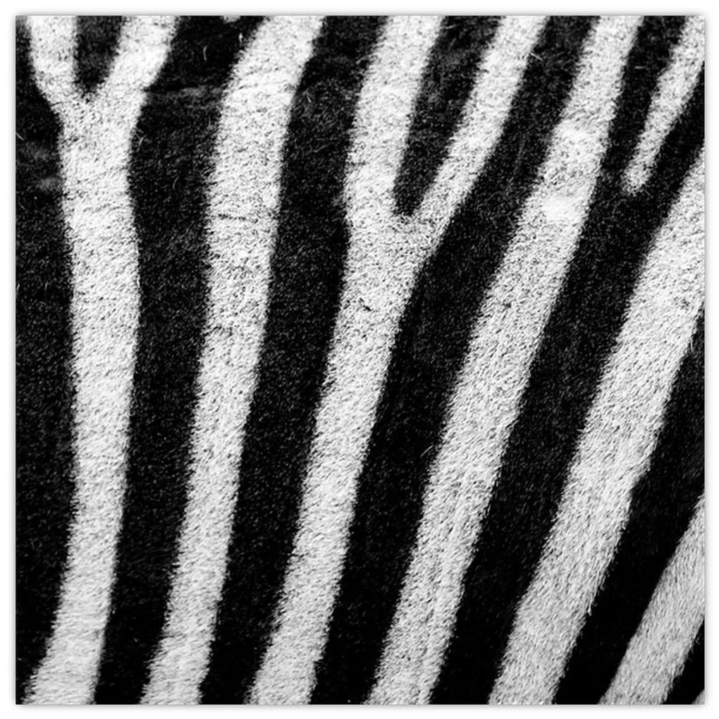Obraz kůže zebry (30x30 cm)