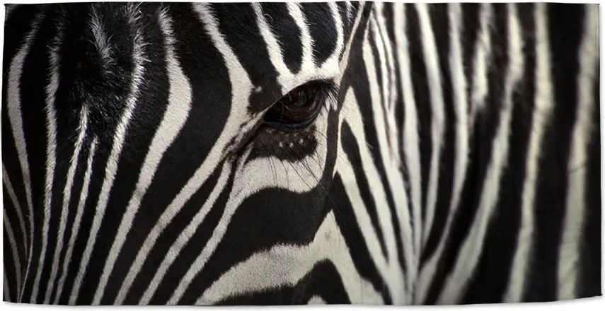 Sablio Ručník Detail zebra - 70x140 cm