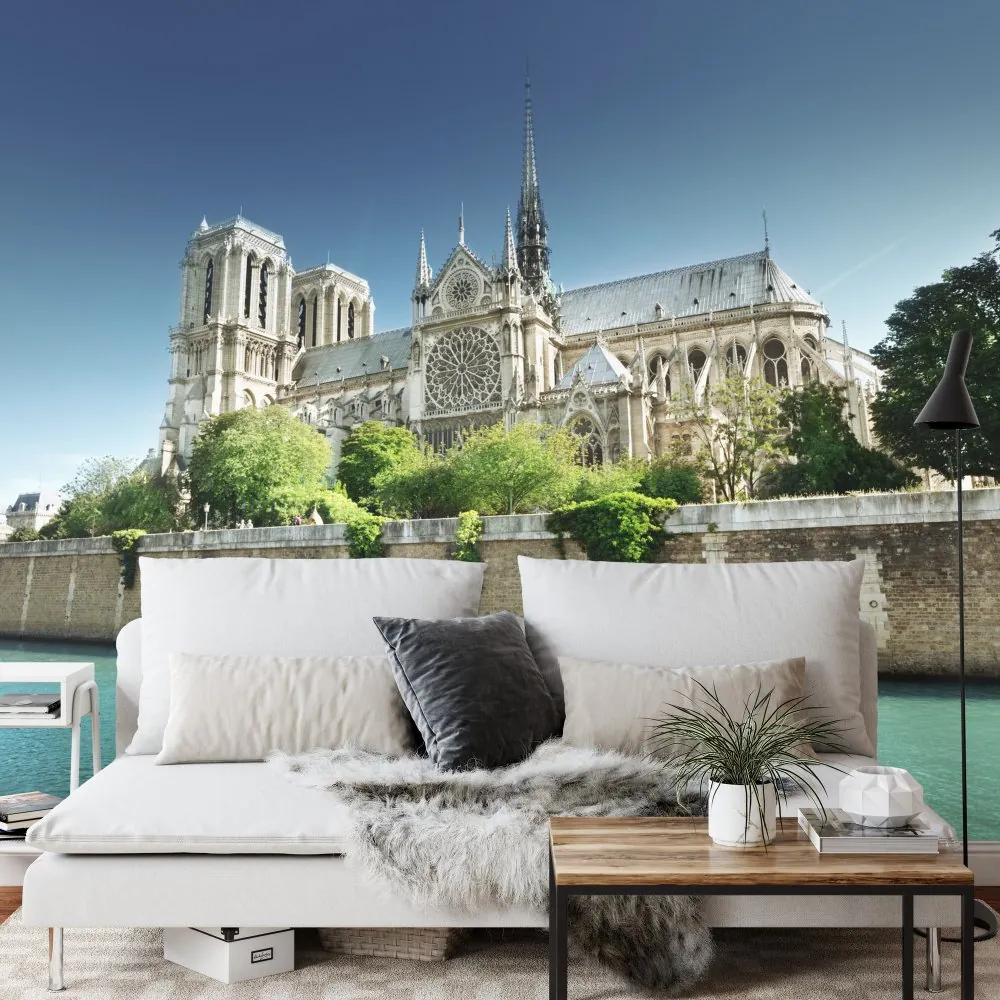 Fototapeta Paříž – Notre-Dame Hladký vinyl 416x290