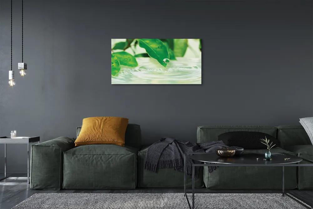 Obrazy na plátně Kapky vody listí 125x50 cm