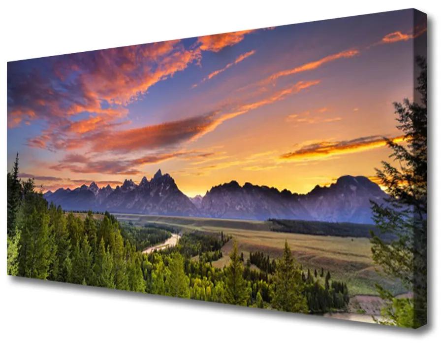 Obraz na plátně Hora Les Slunce Příroda 140x70 cm