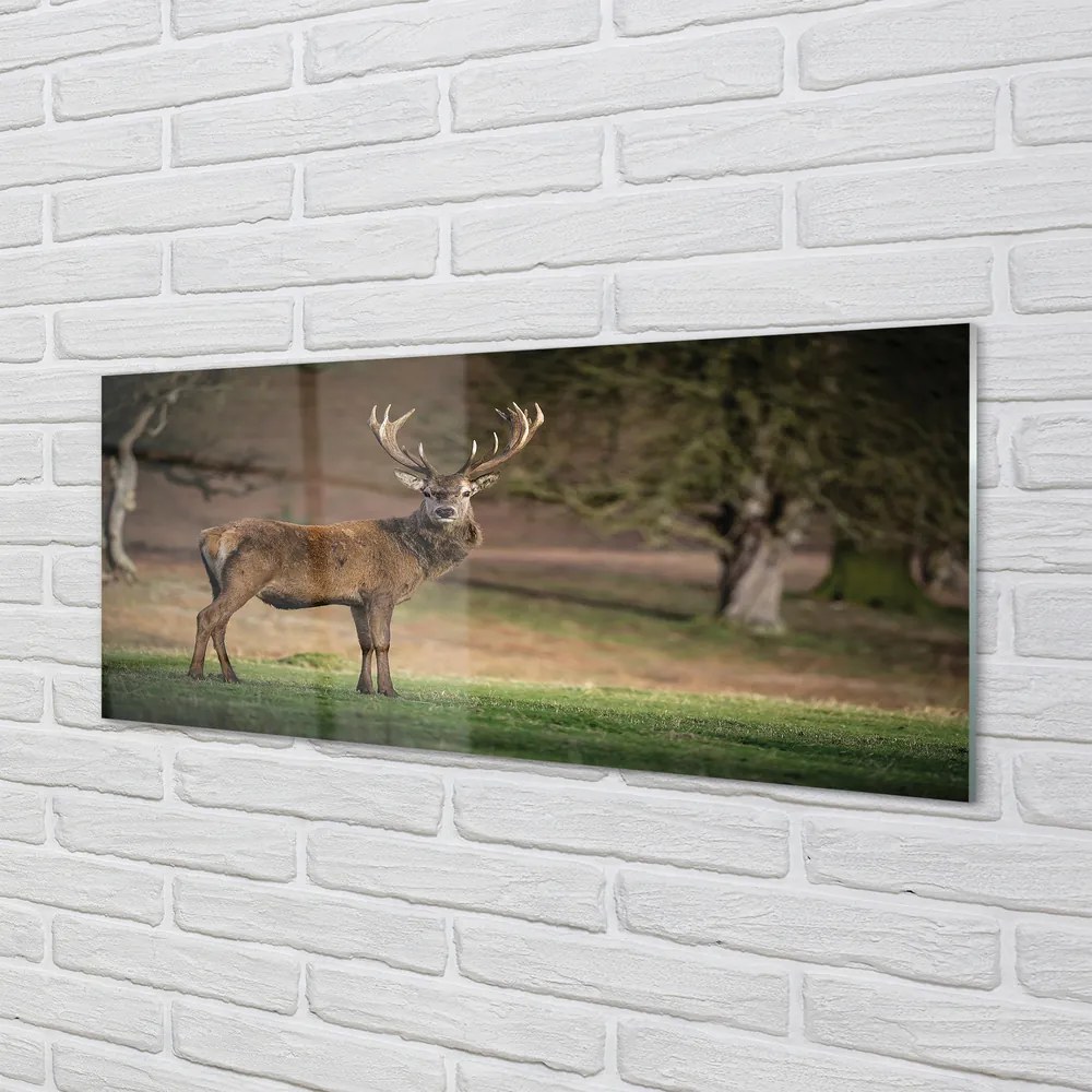 akrylový obraz Jelen v poli 120x60 cm