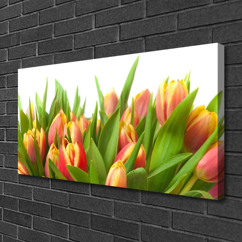 Obraz na plátně Tulipány Květiny Rostlina 140x70 cm