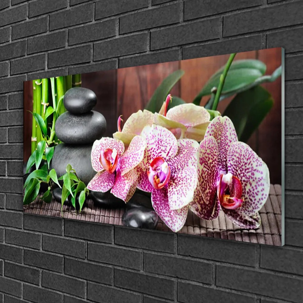 Obraz na skle Bambus Kameny Zen Květiny 125x50 cm