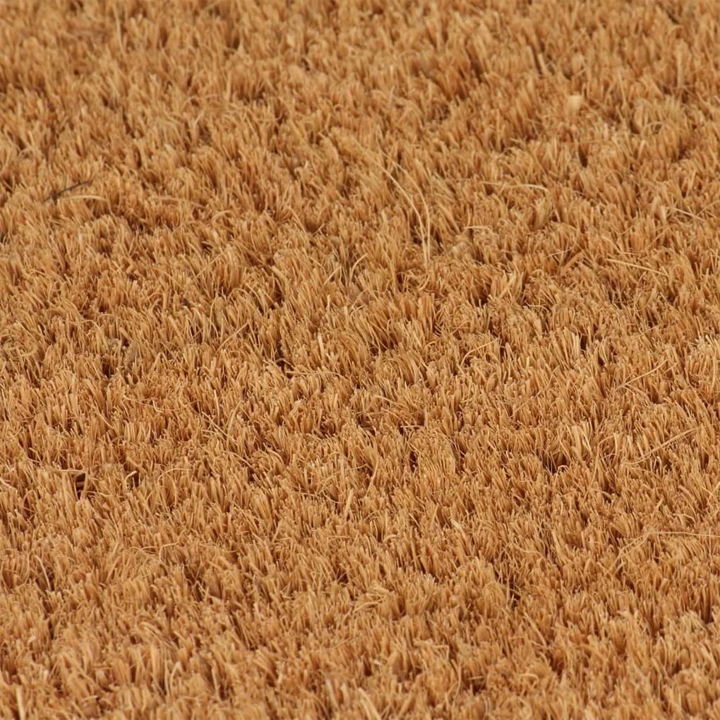 Rohožky před dveře 5 ks přírodní 40 x 60 cm kokosové vlákno 155559