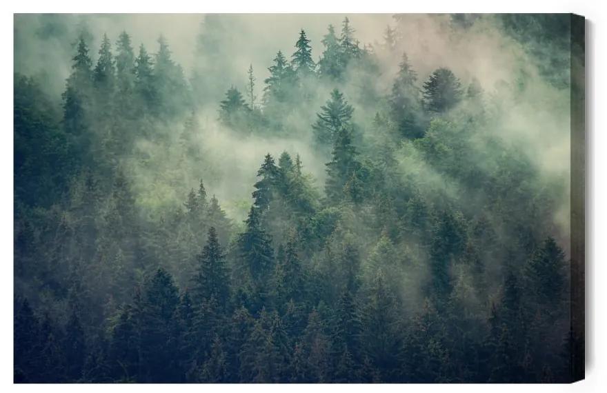 Obraz Misty Landscape With Fir Forest In Hipster Vintage Retro Style Nedostatek Nedostatek Plátno Canvas 40x30