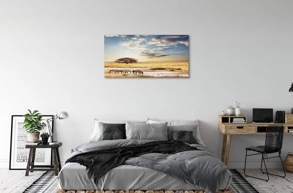 Obrazy na plátně Zebra mraky strom 100x50 cm
