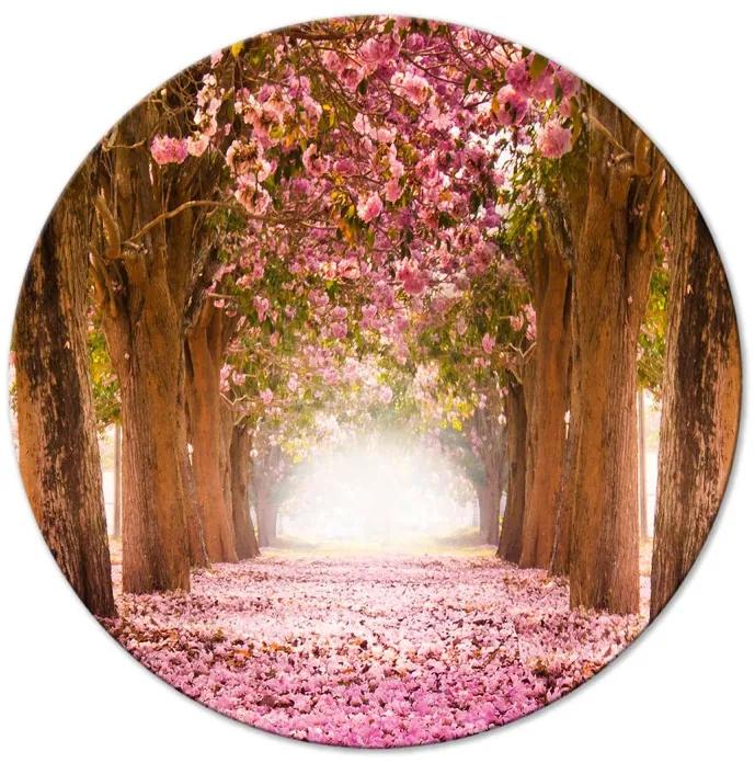 Kulatý obraz Lesní alej - fotografie stromů s růžovými listy ve slunečním světle