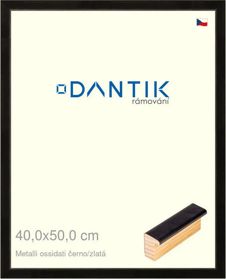 DANTIK rámeček 40x50 | Metalli oidati černozlatá (Sklo Čiré)