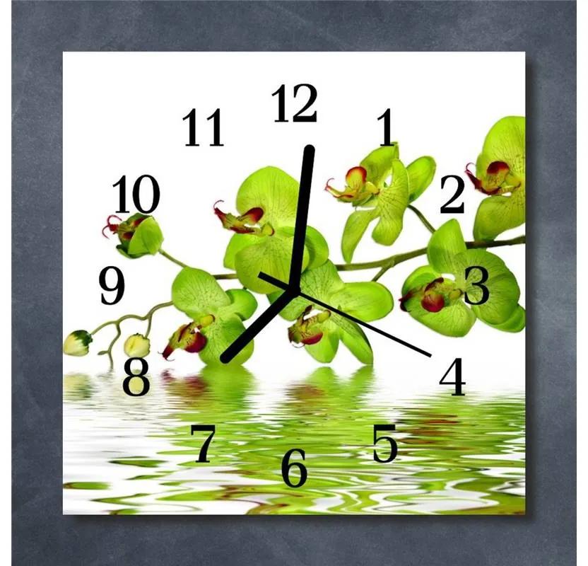 Nástěnné hodiny obrazové na skle - Orchidej zelená
