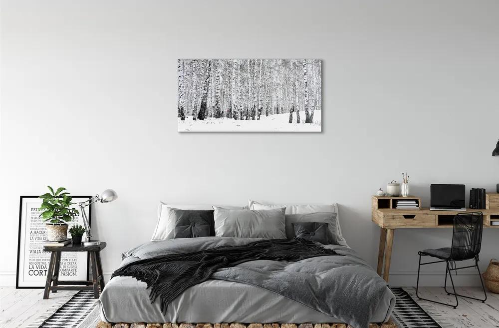 akrylový obraz Zimní břízy 100x50 cm