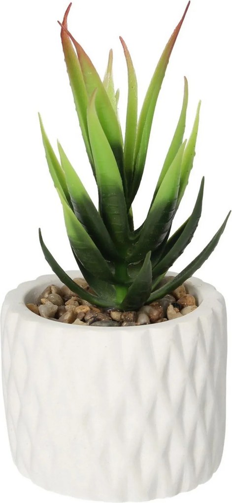 Dekorace Sansevieria 12cm