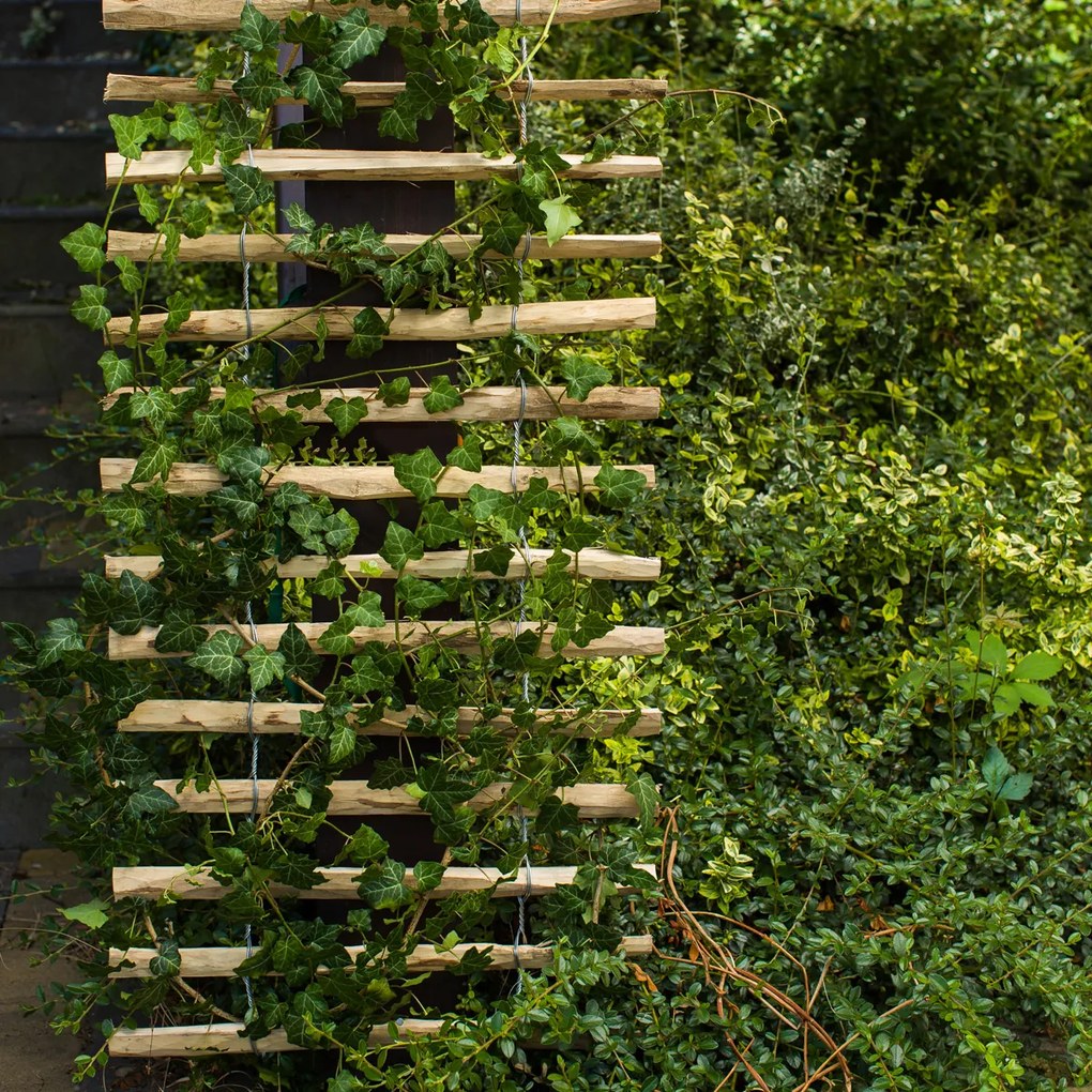 Vingo Závěsná opora pro popínavé rostliny - žebřík, 100 x 200 cm