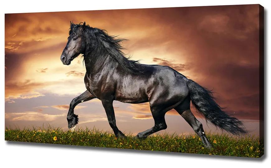 Wallmuralia Foto obraz na plátně do obýváku Klusající kůň 120x60 cm