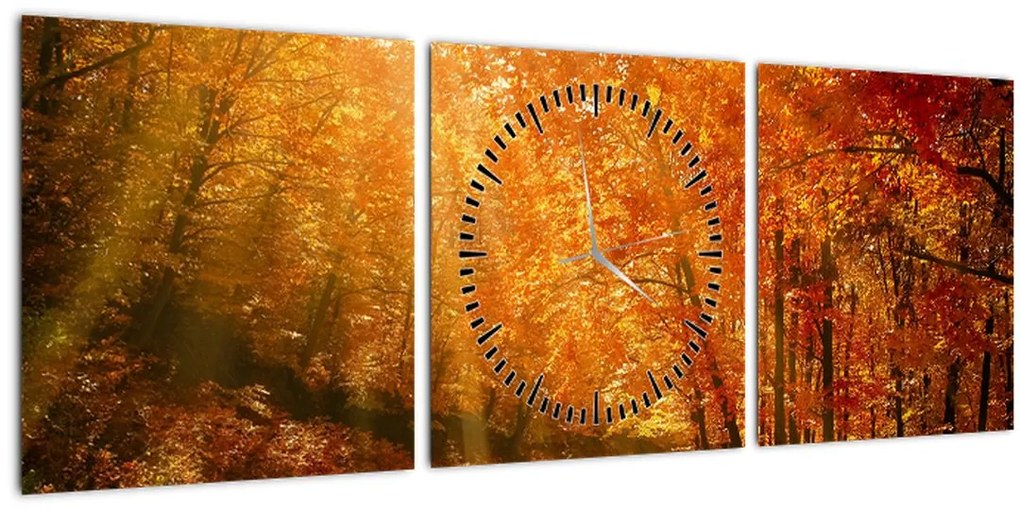 Obraz podzimního lesa (s hodinami) (90x30 cm)