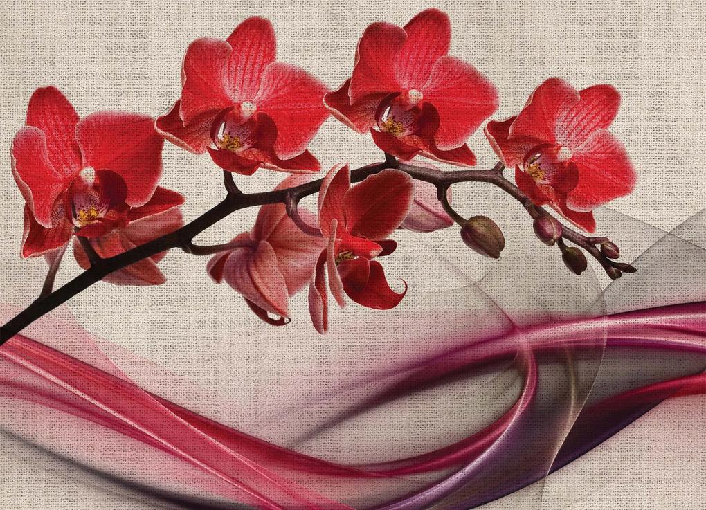 Malvis ® Tapeta Orchidej červená Vel. (šířka x výška): 216 x 140 cm
