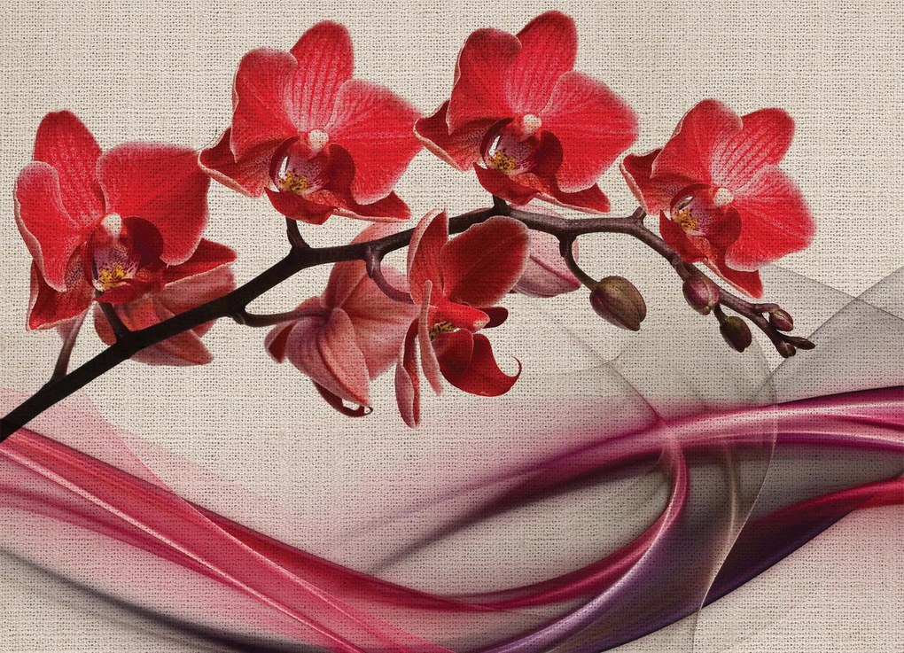 Malvis ® Tapeta Orchidej červená Vel. (šířka x výška): 360 x 260 cm