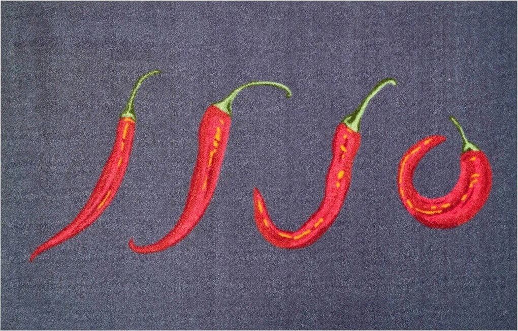 GRUND Rohožka do domácnosti HOT CHILI šedá Rozměr: 75x120 cm