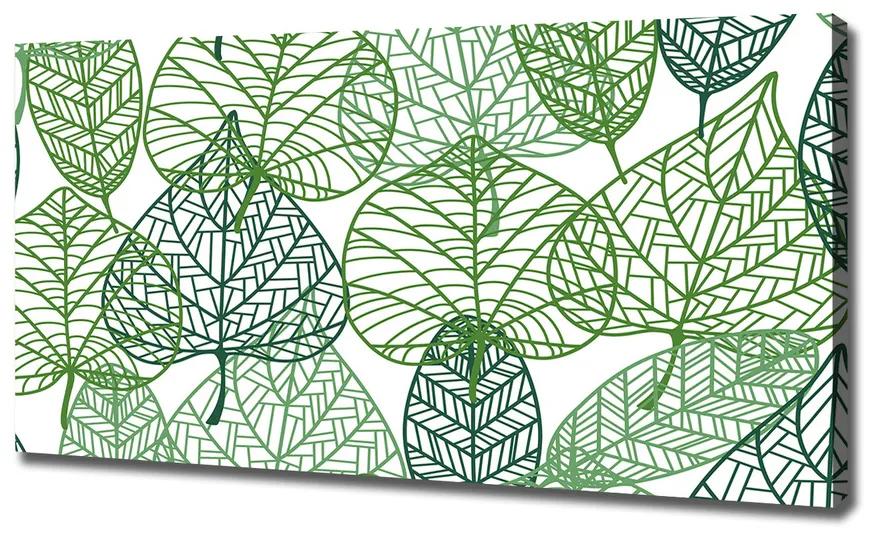 Wallmuralia Moderní obraz canvas na rámu Zelené listí vzor 120x60 cm