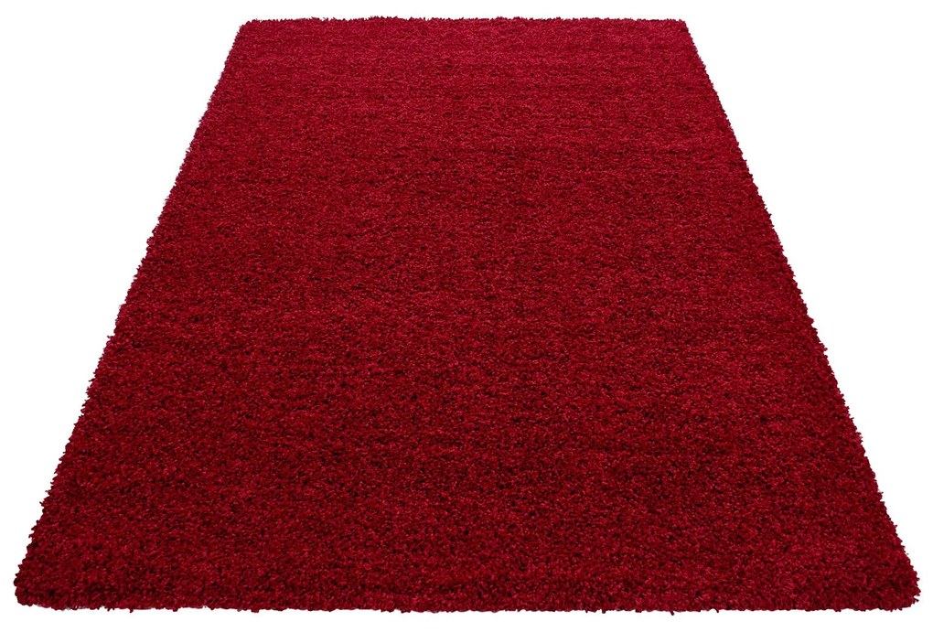 Ayyildiz Kusový koberec DREAM 4000, Červená Rozměr koberce: 65 x 130 cm