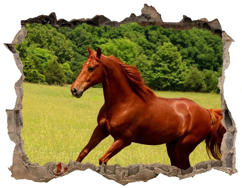 Wallmuralia Díra 3D fototapeta na stěnu Kůň na louce 95x64 cm