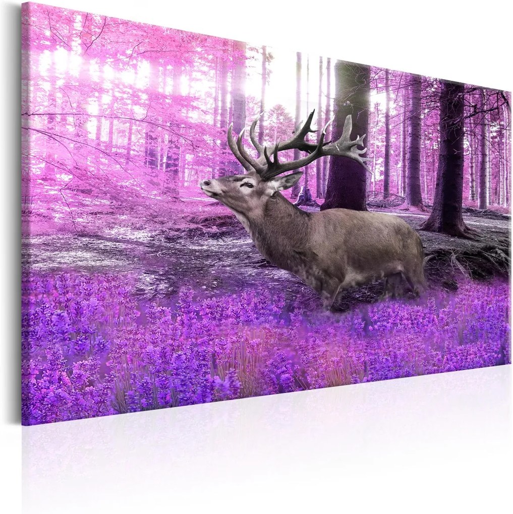 Murando DeLuxe Jelen ve fialovém lese Velikost: 105x70 cm