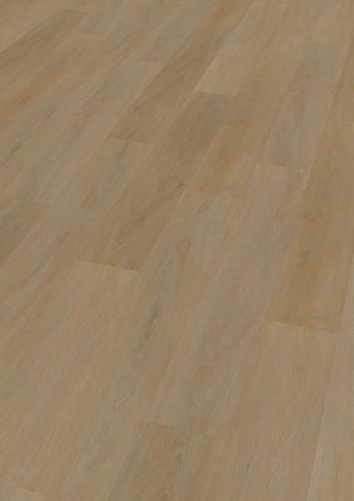 Oneflor Vinylová podlaha lepená ECO 55 064 English Oak Honey  - dub - Lepená podlaha