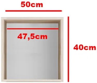 Eka Předsíňová stěna s čalouněnými panely Trinity 22 - Dub Artisan s černou / Černá 2316