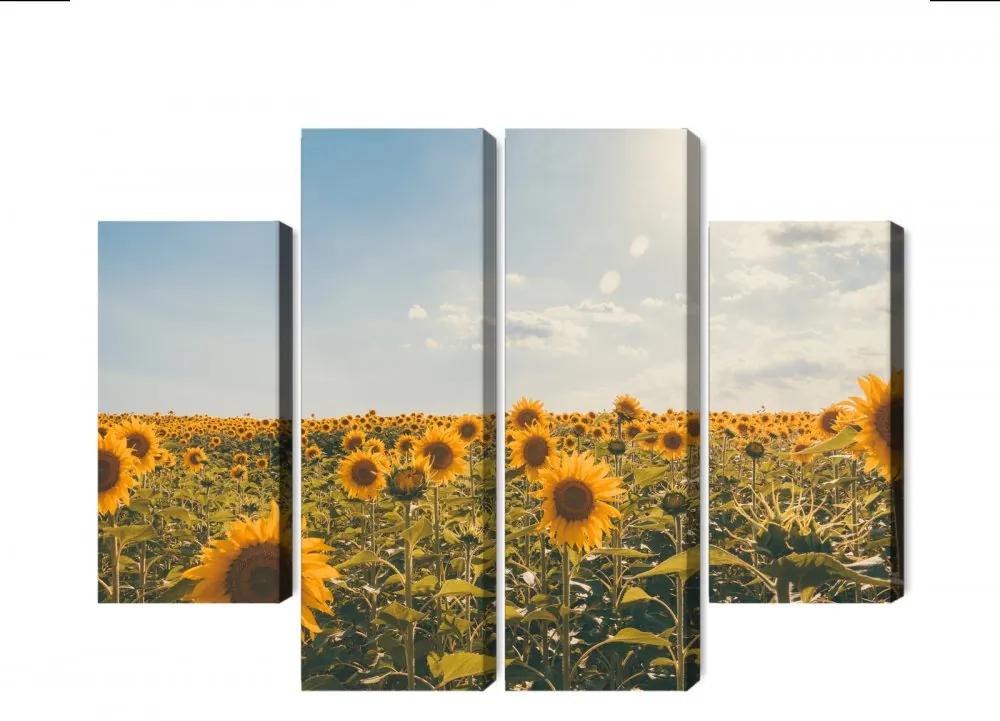 Vícedílný obraz Slunečnicové Pole Na Letní Den 3D Nedostatek Nedostatek Přírodní plátno 160x120
