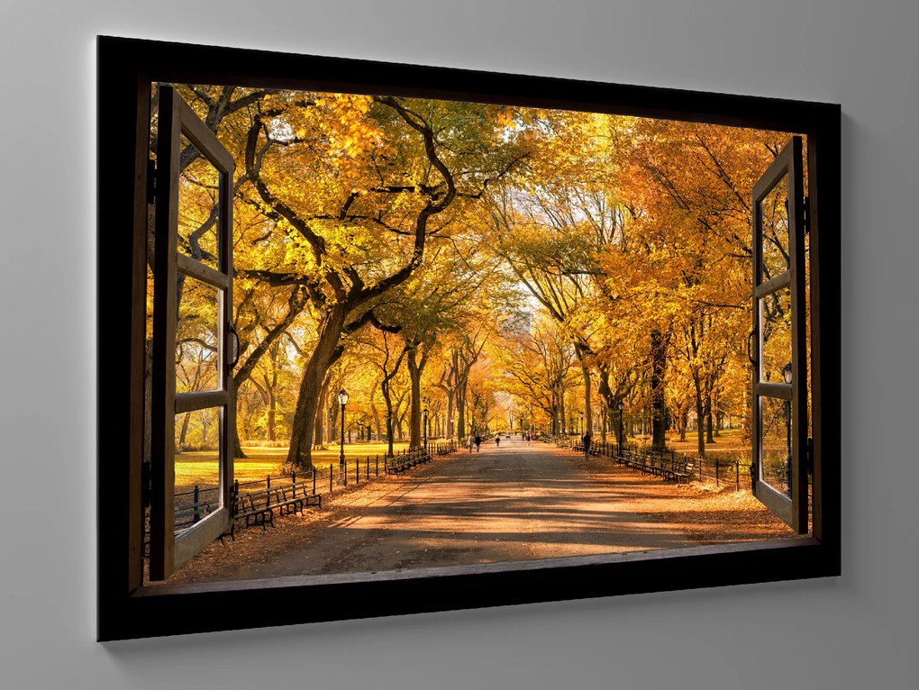 3D obraz okno central park Rozměr: 90 x 60 cm