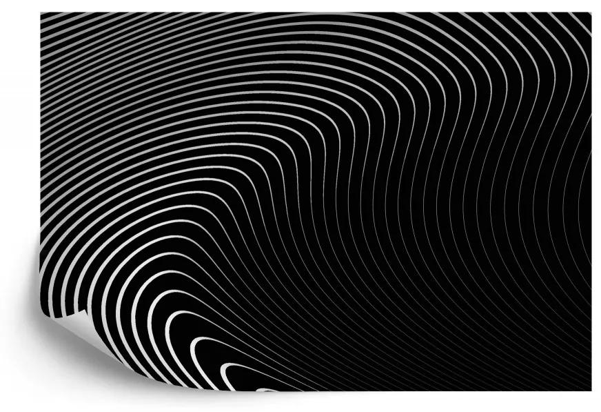 Fototapeta Of The Gray Pattern Of Lines . Eps10. Omyvatelný vlies 315x210
