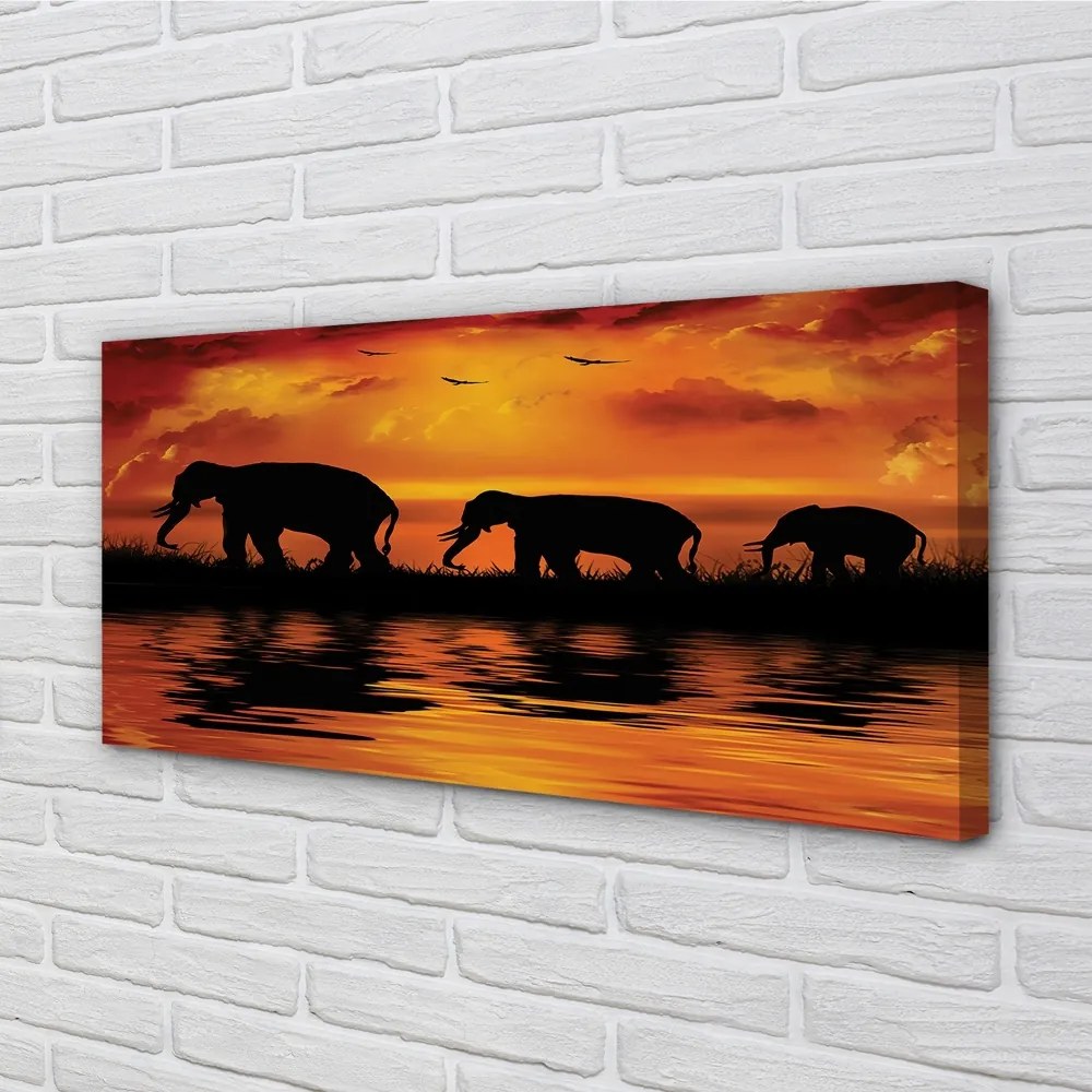 Obrazy na plátně sloni West Lake 125x50 cm