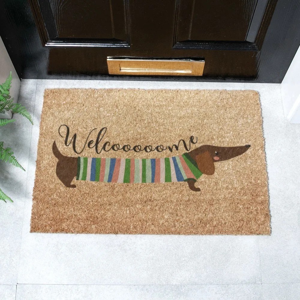 Rohožka z kokosového vlákna 40x60 cm Welcome Sausage Dog – Artsy Doormats