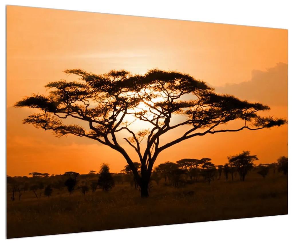 Obraz africké savany (90x60 cm)