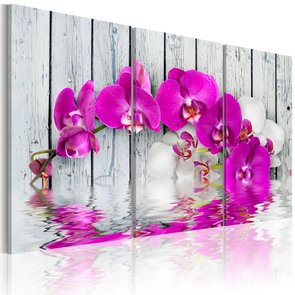 Obraz na plátně Bimago - harmonie: orchidea - triptych 60x40 cm